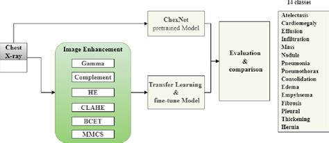 figure 2 from improving chest pathologies detection from chest x ray