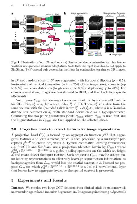 Unsupervised Domain Adaptation With Contrastive Learning For Oct Segmentation Deepai