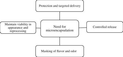 Importance Of Microencapsulation Of Bioactive Compounds Download Scientific Diagram