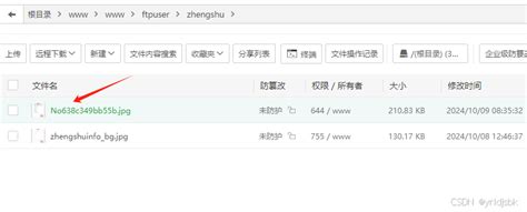 springboot 网站开发 linux服务器部署jar格式图片存档路径问题 上传maven仓库后jar包存放在服务器的哪个路径下 csdn博客