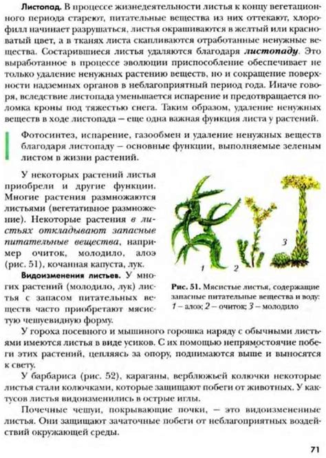 Учебник биология 6 класс Пономарева читать онлайн