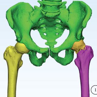 Fracture Modeling Build An Independent Three Dimensional Model Of
