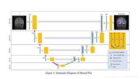 2d Denseunet Based脑胶质瘤分割brats论文翻译代码实现mindboggle101数据集 Csdn博客