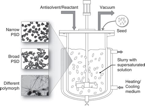 Crystallization Process Diagram