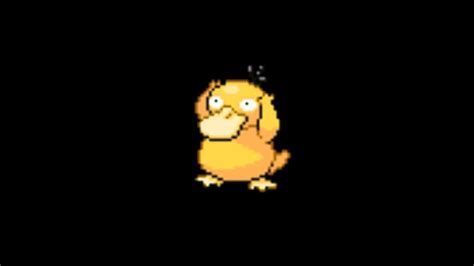 Psyduck Cute Psyduck Hd Wallpaper Pxfuel