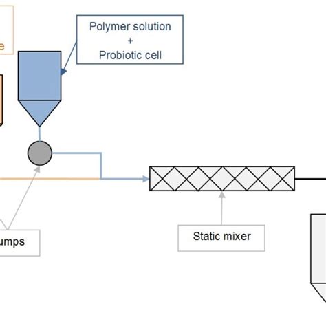 Pdf Encapsulation Technology To Protect Probiotic Bacteria