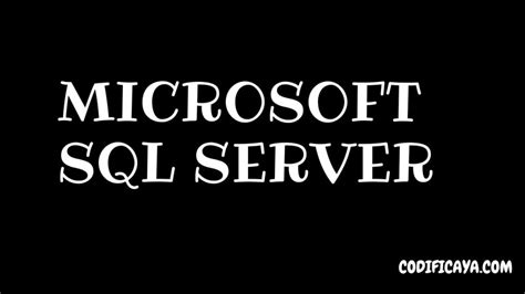 Microsoft SQL Server Base De Datos En 2023