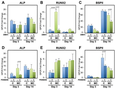 Relative Mrna Expression Of Alkaline Phosphatase Alp Runt Related