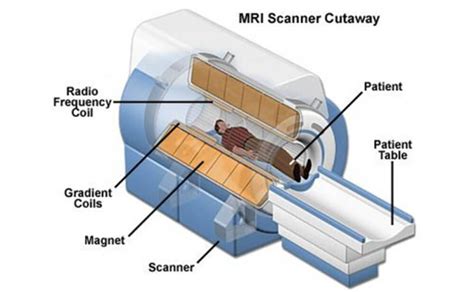 Fiberglass Mri Coils Frp Mri Coils Fiberglass Armarium Shell