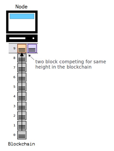 Height Position Of A Block In The Blockchain