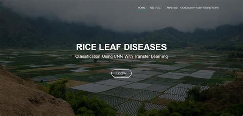 Jppy2028 Rice Leaf Diseases Classification Using Cnn With Transfer Learning Jp Infotech