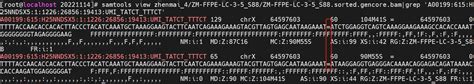 Symbol In The BAM CRAM SEQ Field Issue OpenGene Gencore GitHub