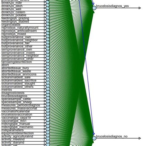 Figure A1 Architecture Of The Classifier With Two Neurons In The