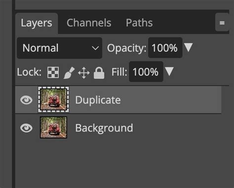 Transform An Image In Photopea How To Move Rotate Flip Scale And Duplicate Edits