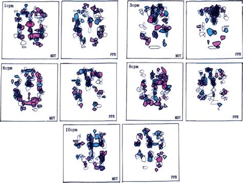 Retouched And Superimposed Topographical Egg Maps Of The 5 Spectral