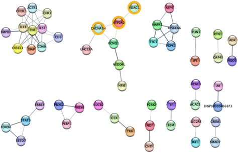 Clustered Network Of All The Interactors Using Markov Clustering Mcl Download Scientific