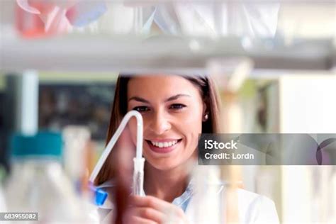 실험실 플라스크에서 화학 액체를 연구하는 여성 과학자 연구 실험실에서 실험을 수행하는 과학자 Stem 주제에 대한 스톡 사진 및