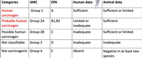 Toxicology Lecture 3 Genotoxic Carcinogens And Classifications