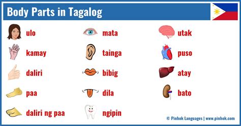 Body Parts In Tagalog
