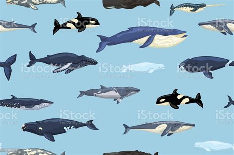 푸른 배경에 매끄러운 패턴 고래 어린이를위한 스칸디나비아 스타일의 바다의 만화 캐릭터의 인쇄 해양 포유류와 반복 된 질감 대왕고래에 대한 스톡 벡터 아트 및 기타 이미지