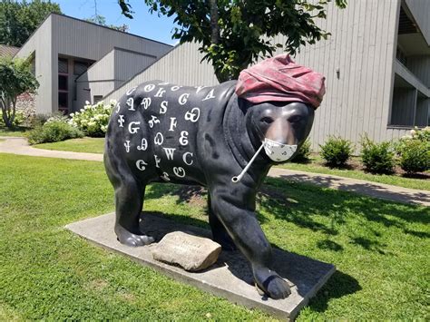 Cherokee Bears Project