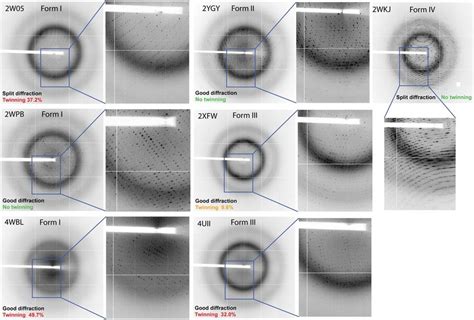 Diffraction Pattern Typologies Observed For The Crystal Forms I Ii