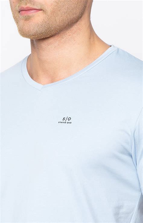 Mens Blue Cotton Solid Regular T Shirt