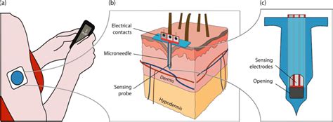 A Illustration Of The Typical Implementation Of A Commercial CGM Download Scientific Diagram