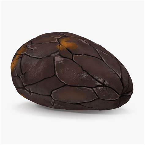 Cocoa Bean And Fruit 3d Models Collection 3d Model 49 3ds C4d Fbx Ma Obj Max Free3d