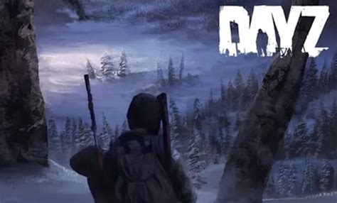 Create Dayz Server With Mods And Scripts For You And Redm Server By