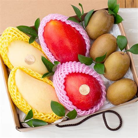 프리미엄 골드망고 And 애플망고 혼합 과일세트 3종 원모먼트