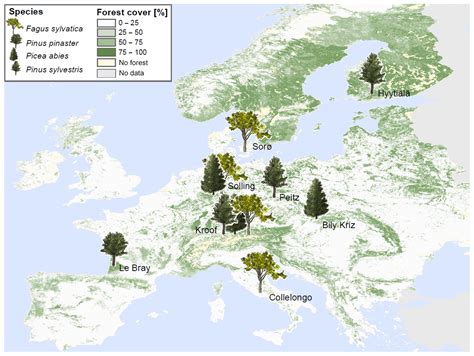 Essd The Profound Database For Evaluating Vegetation Models And
