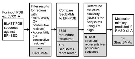 epitopedia output overview based on input pdb 6vxx chain a for