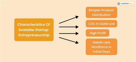 What Is Scalable Startup Entrepreneurship Definition Examples