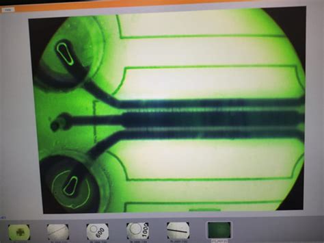 Cell Culture Microfluidics Ware