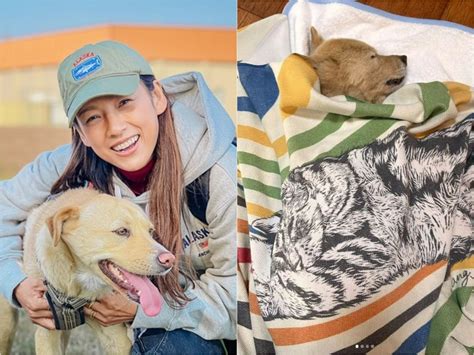 행복한 강아지 이효리 반려견 모카 순심 이어 무지개다리 건넜다 Ten이슈 텐아시아