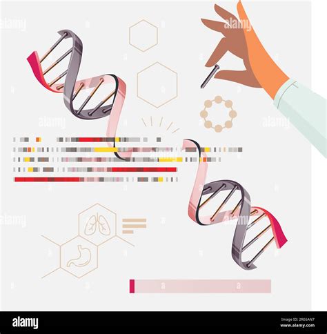 Genetics Research Gene Editing And Modifying Dna Helix Crispr