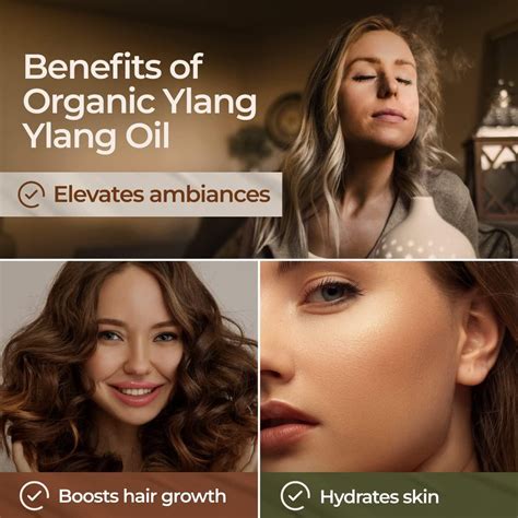 Gya Labs Ätherisches Ylang Ylang Öl 10 Ml Shop Apotheke