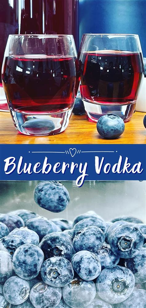 Blueberry Vodka Artofit