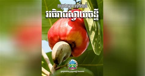 កម្ពុជា ឆ្ពោះទៅកាន់អធិរាជស្វាយចន្ទី ក្រសួងព័ត៌មាន