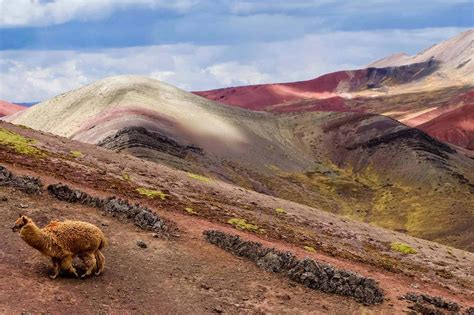 Viaje A Perú De Los Andes A La Selva Amazónica