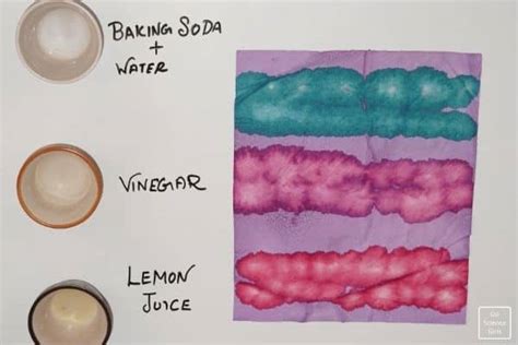 Science Experiments With Lemons 14 Easy Experiments