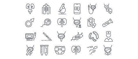 라인 아이콘 비뇨기과 클리닉 세트입니다 신장 방광 카테터 방광경 호르몬 테스토스테론 발기 부전 정자 조영술 전립선염 수술 박테리아 비뇨기과 의사 요실금 수정 전립샘에 대한