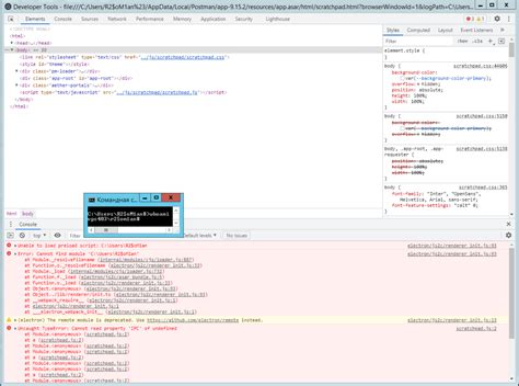 Main Window Is Blank After Fresh Install · Issue 10851 · Postmanlabs