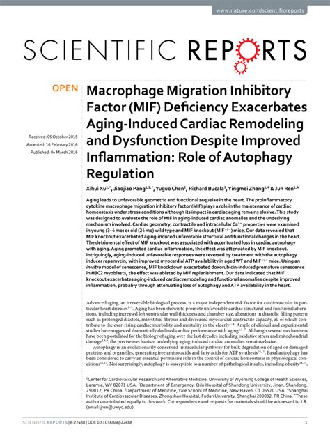 Pdf Macrophage Migration Inhibitory Factor Mif Deficiency