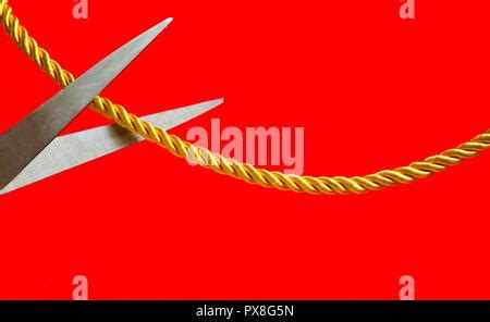 Cut Off Cock Stock Photo Alamy