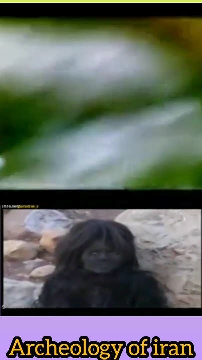 آدم کوتله های میلیاردی در ایران Youtube