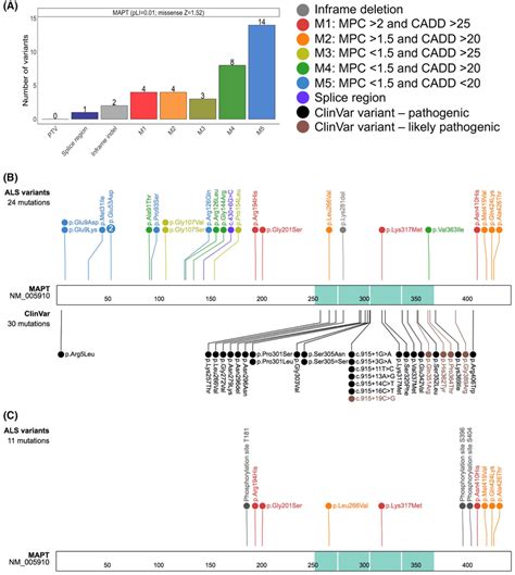 Protein Schematic Of Mapt Variants Observed In Als A Variant Types
