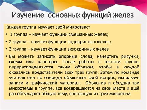 Функции эндокринных экзокринных желез презентация онлайн