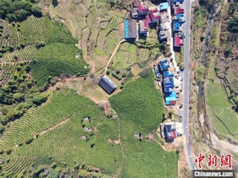 航拍上饶广信秀美乡村 茶山曲线如大地“指纹”芦溪
